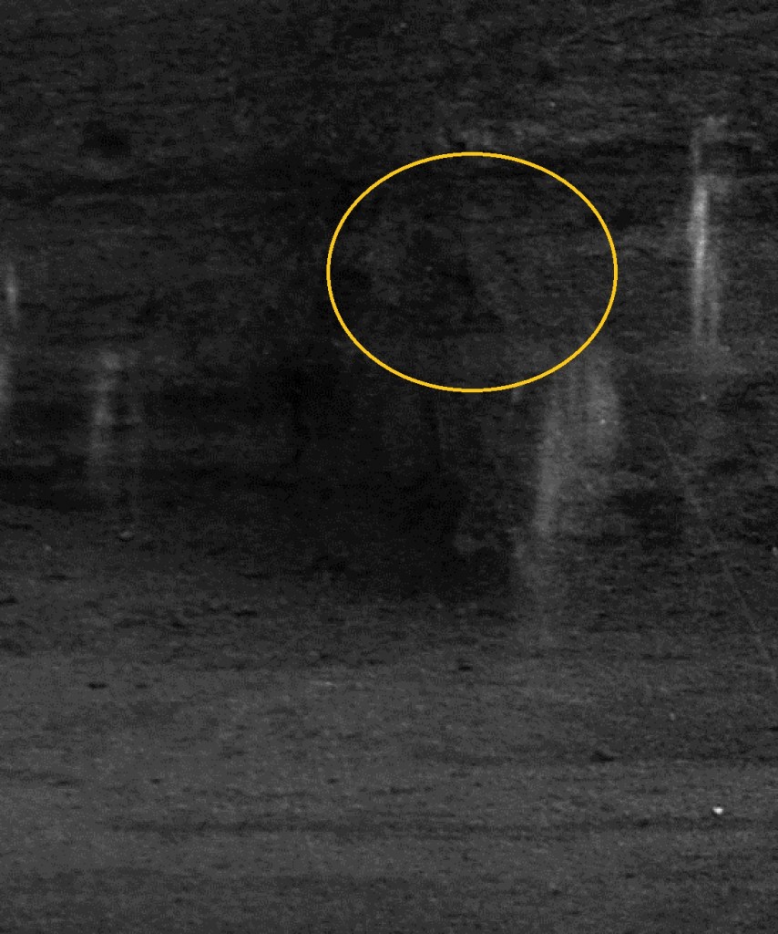 Ghost Picture: American Indian Figures - Ghostcircle